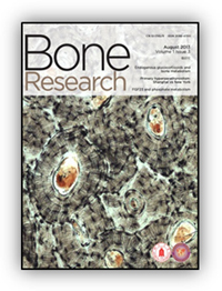 我校主办的英文期刊Bone Research正式成为Nature系列合作期刊 - SCU